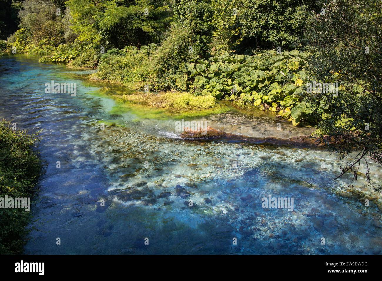 Blue Eye Natural Water Spring in Albania. Crystal Clear Water with ...