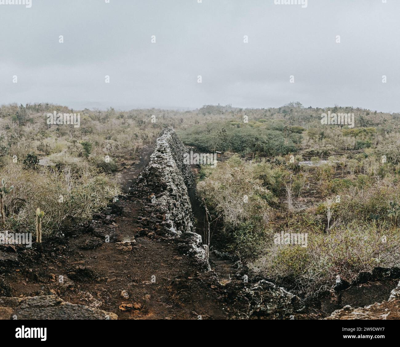 Historic Wall of Tears (El Muro de las Lágrimas) at Isla Isabela ...