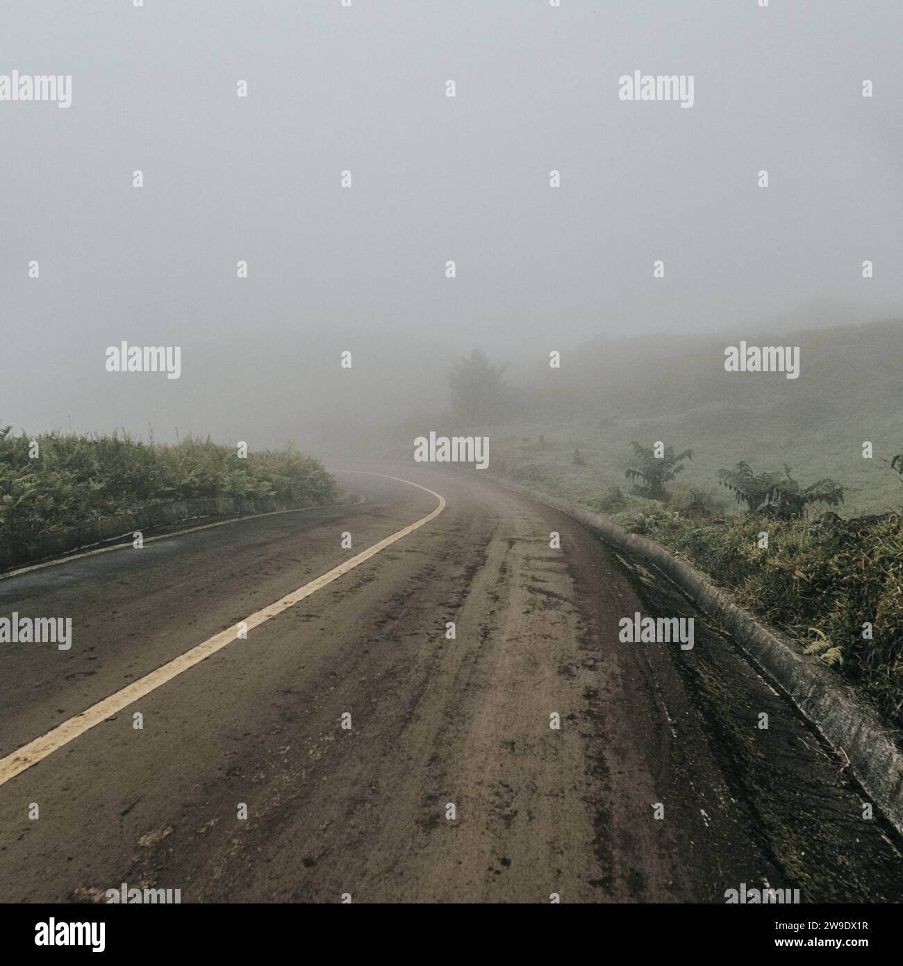 A misty road winding through the landscape on Volcano Chico, Isla ...