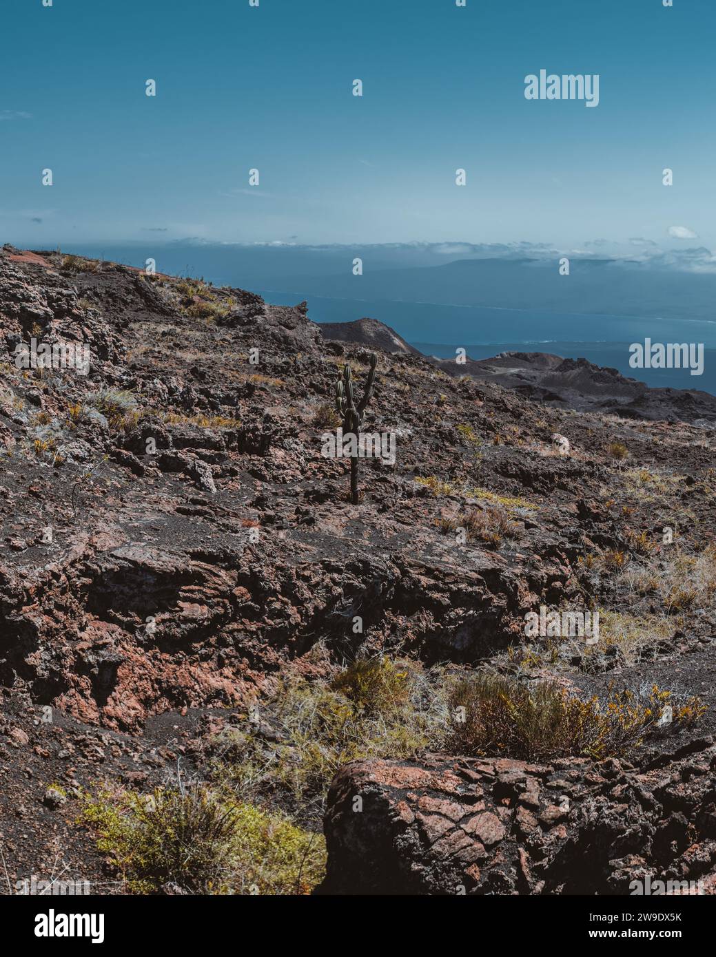 Volcanic terrain with cacti on Volcano Chico, Isla Isabela in the ...