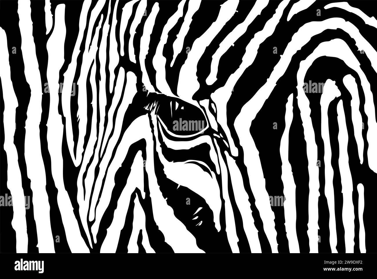 Graphical set of zebra isolated on white background, jumping striped ...