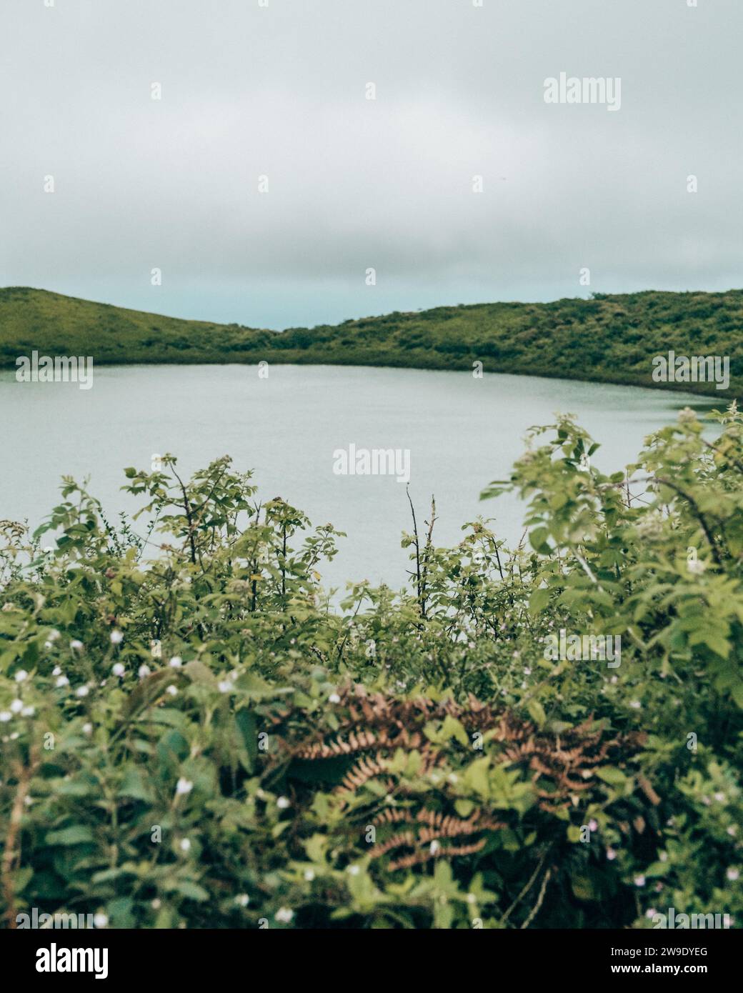 Panoramic view of El Junco Lagoon on San Cristobal Island in the ...