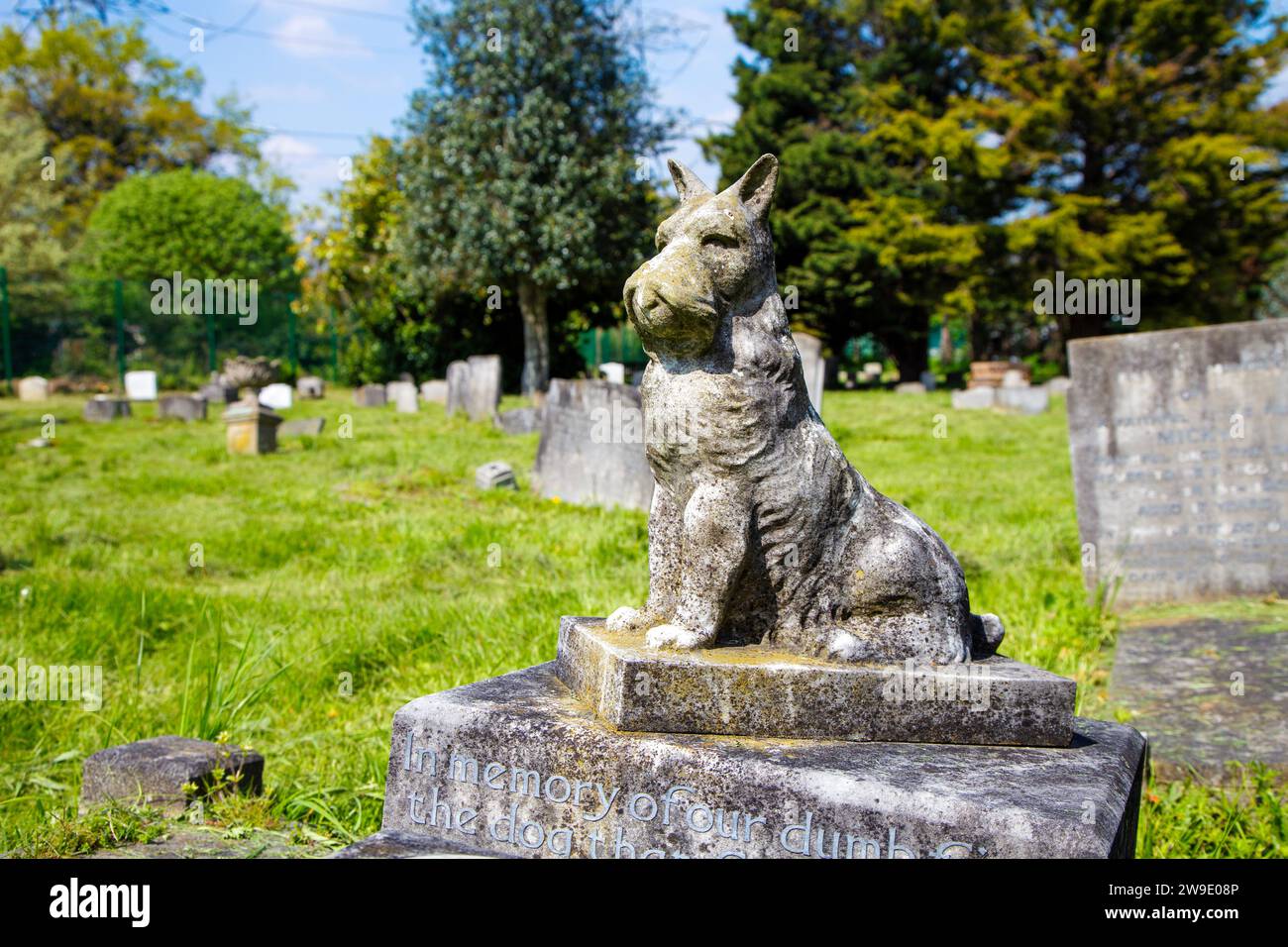 Dog gravestone hi-res stock photography and images - Alamy