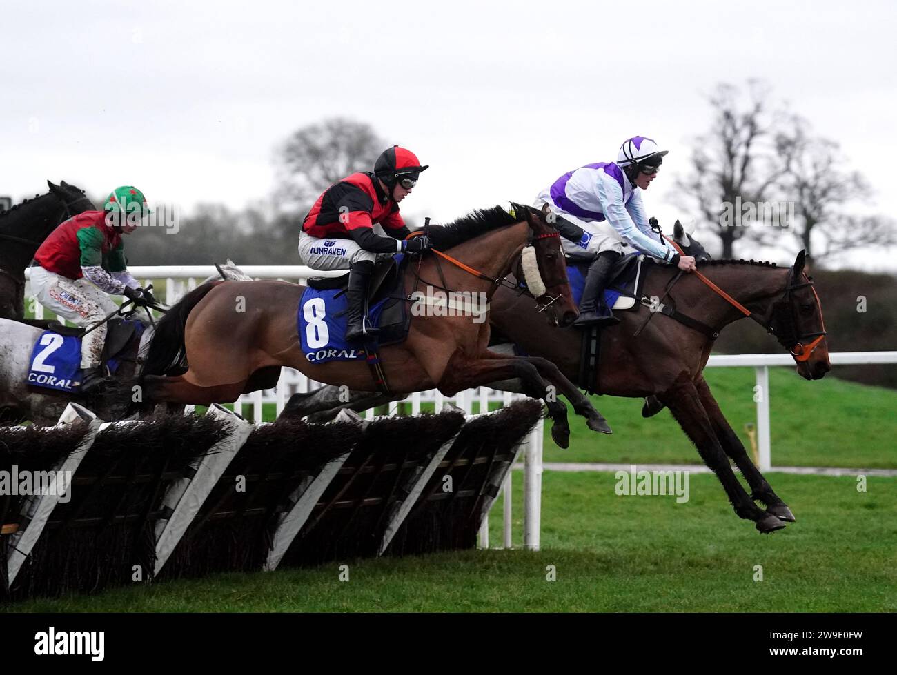 Classic concorde horse hi-res stock photography and images - Alamy