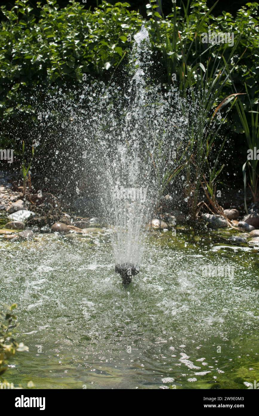 water regulation and development, construction and building in nature ...