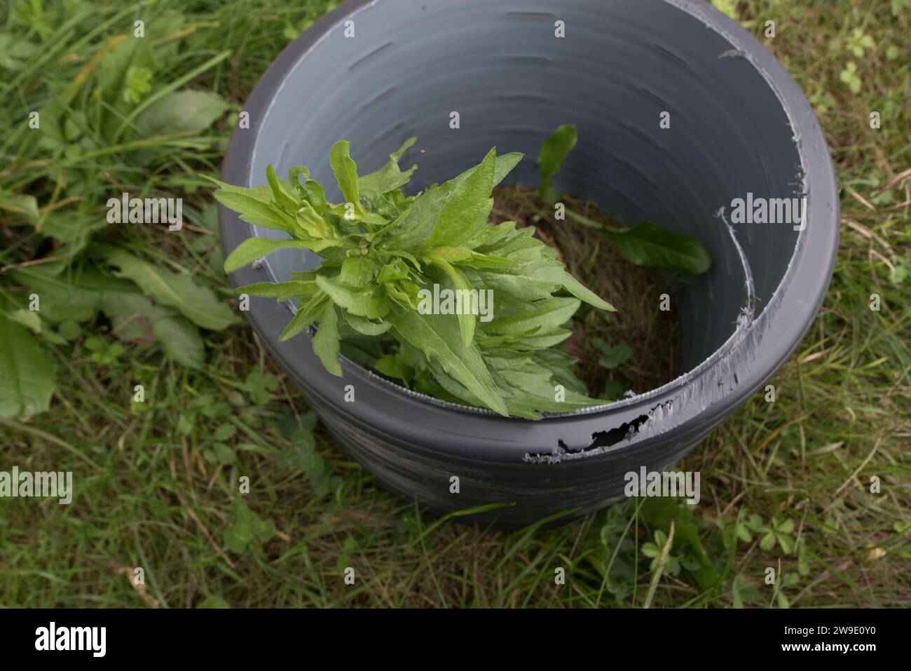 water regulation and development, construction and building in nature ...