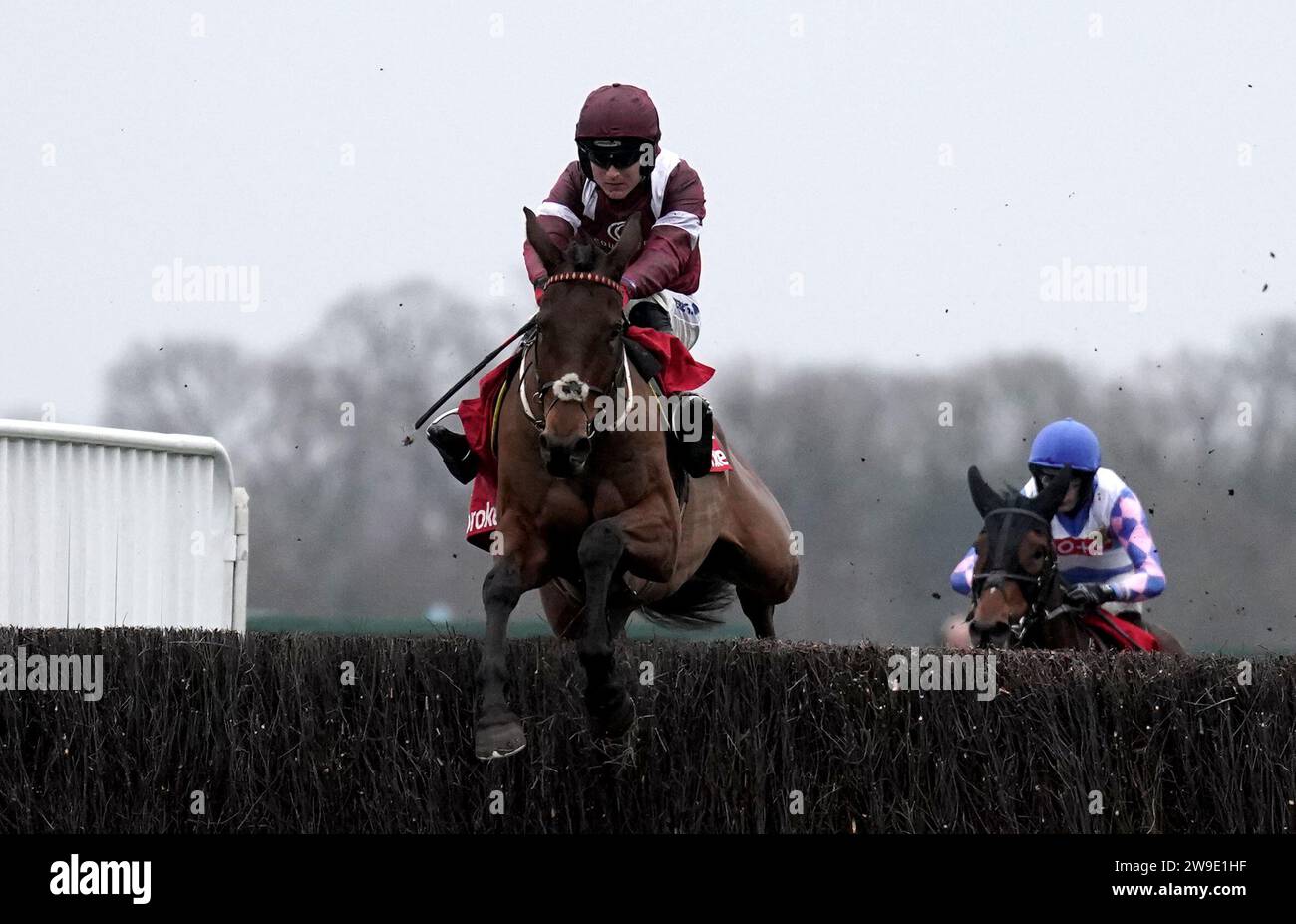 Master chewy horse hi-res stock photography and images - Alamy
