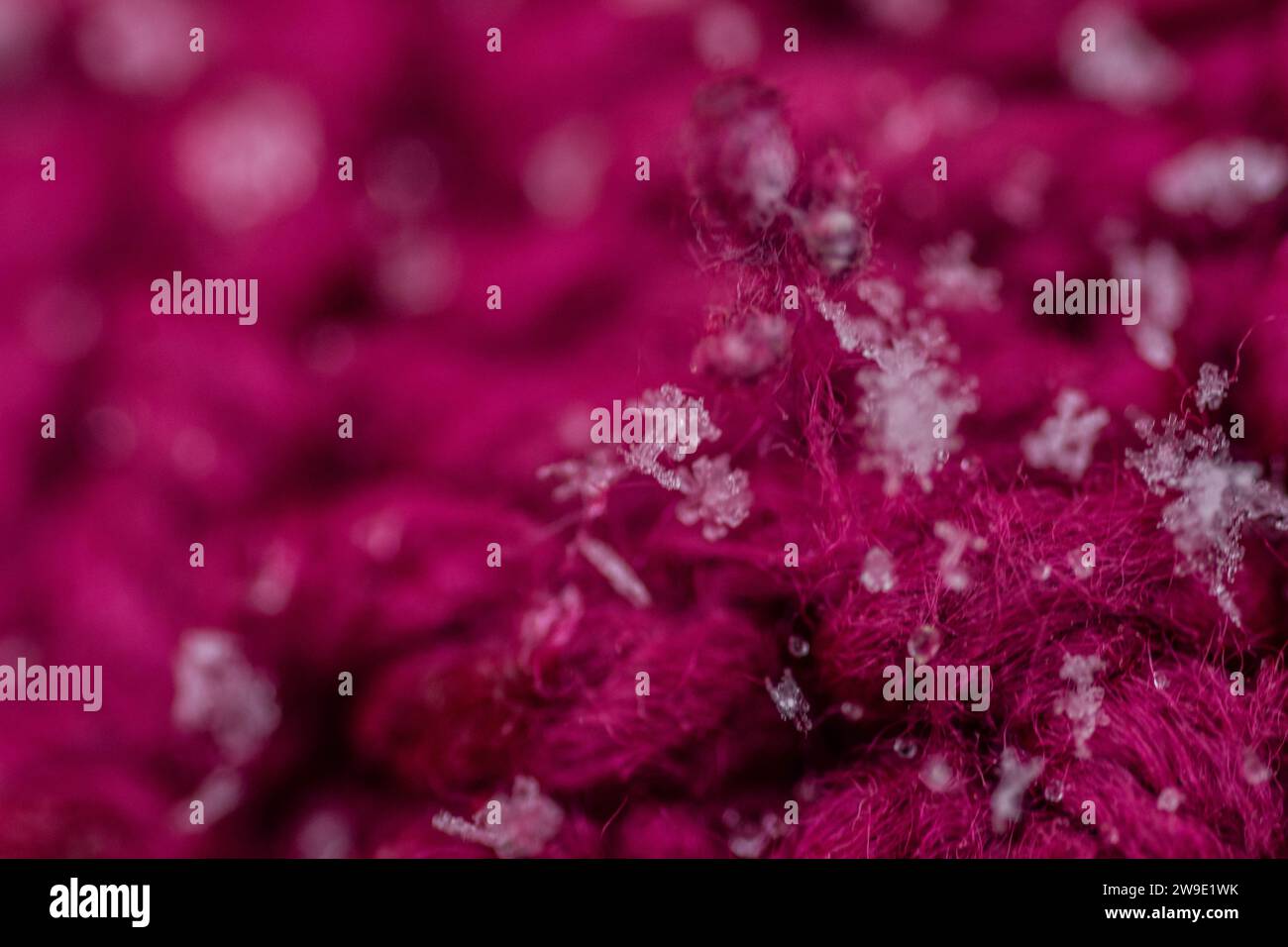 the pictures mainly show nature Stock Photo - Alamy