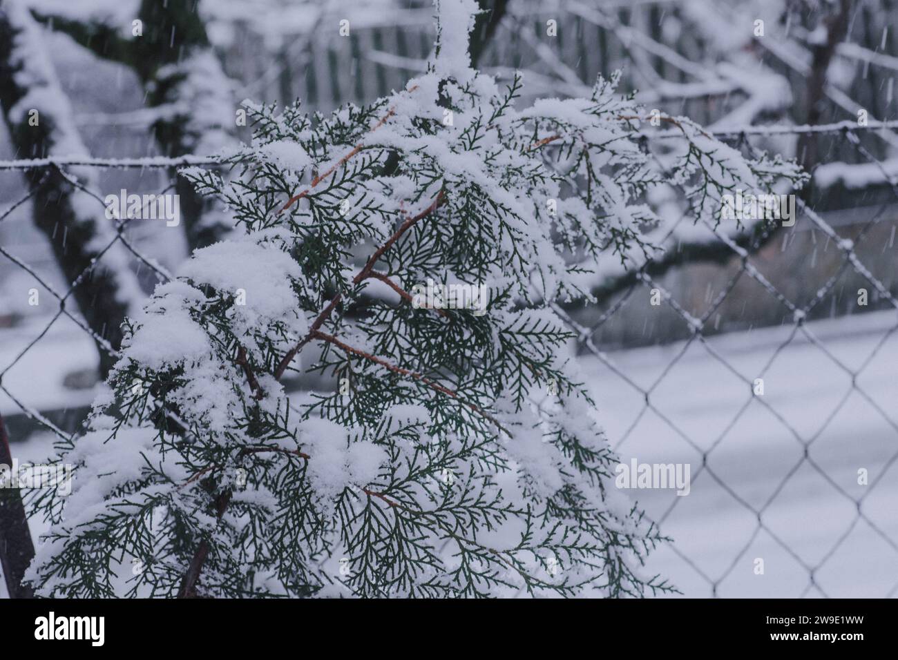 the pictures mainly show nature Stock Photo - Alamy