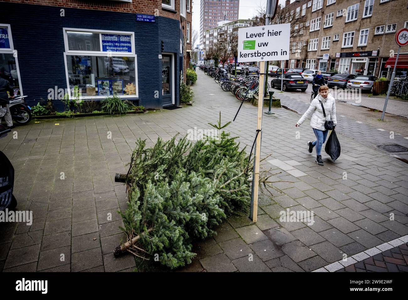AMSTERDAM - Christmas trees are at a Christmas tree collection point ...