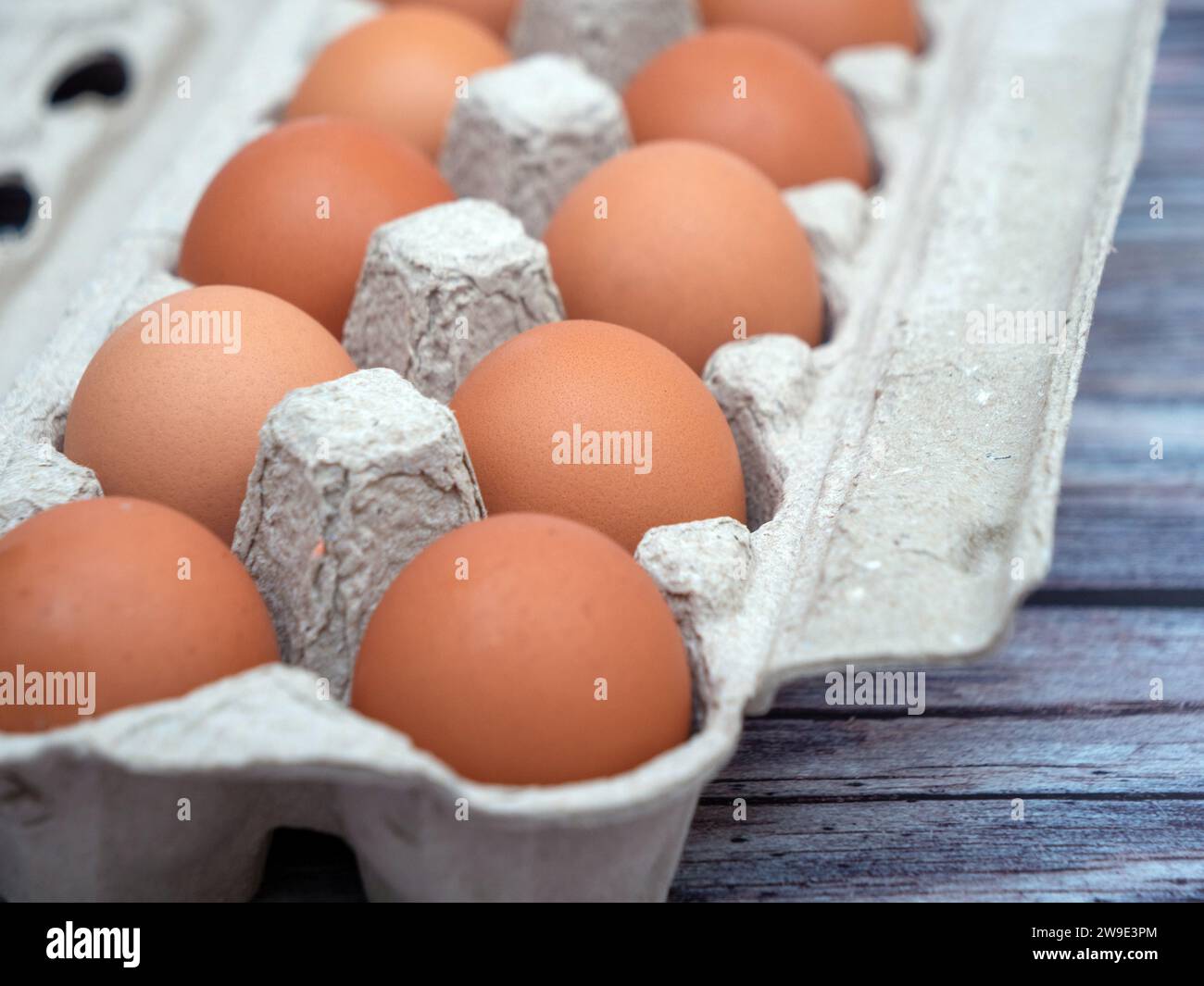 Easter egg carton eggs hi-res stock photography and images - Alamy