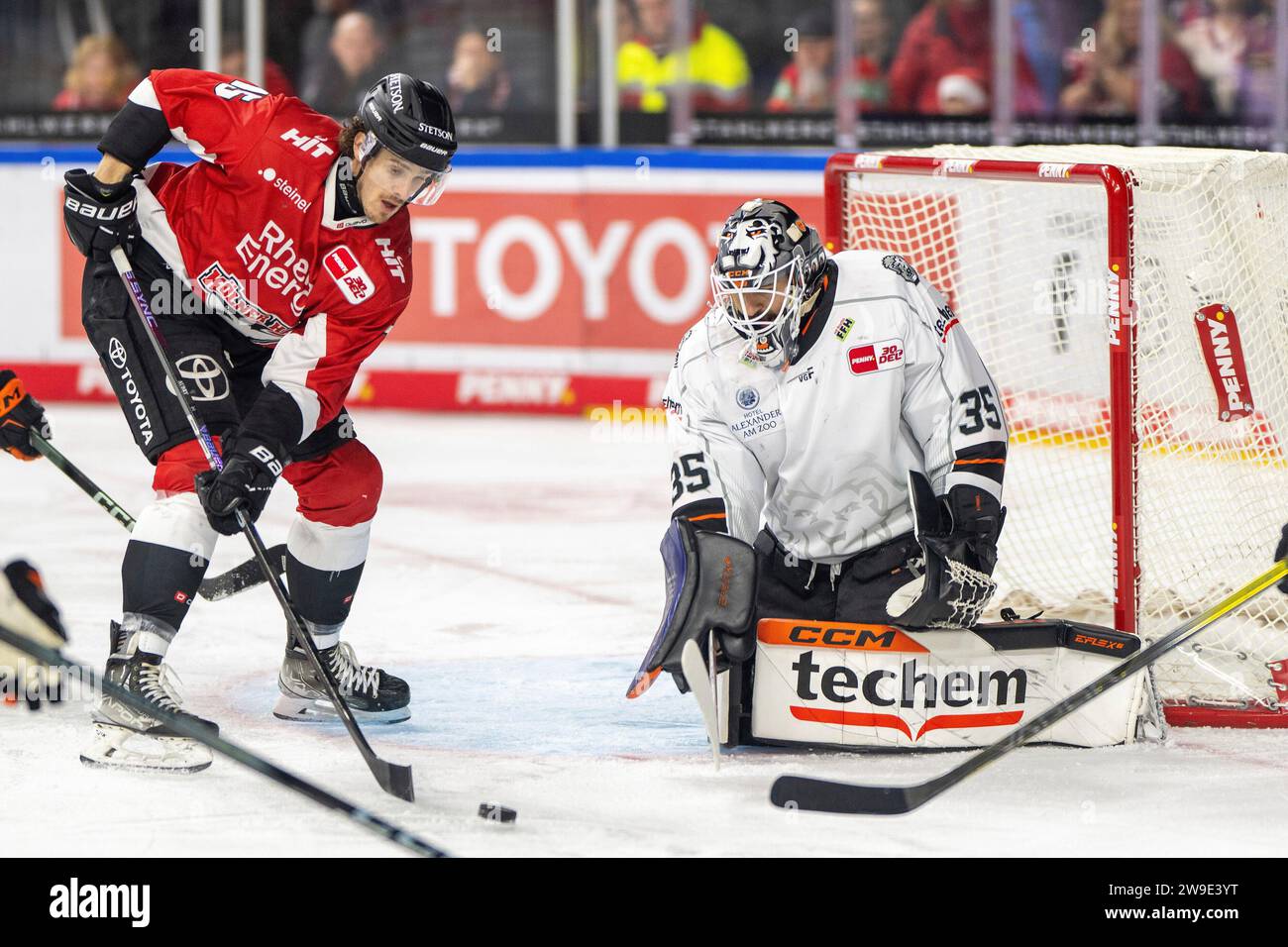 Grosse haie hi-res stock photography and images - Alamy