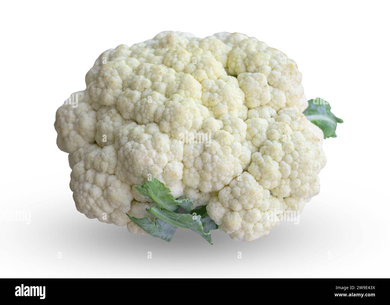 fresh Cauliflower vegetable - phool gobhi in white isolated background ...