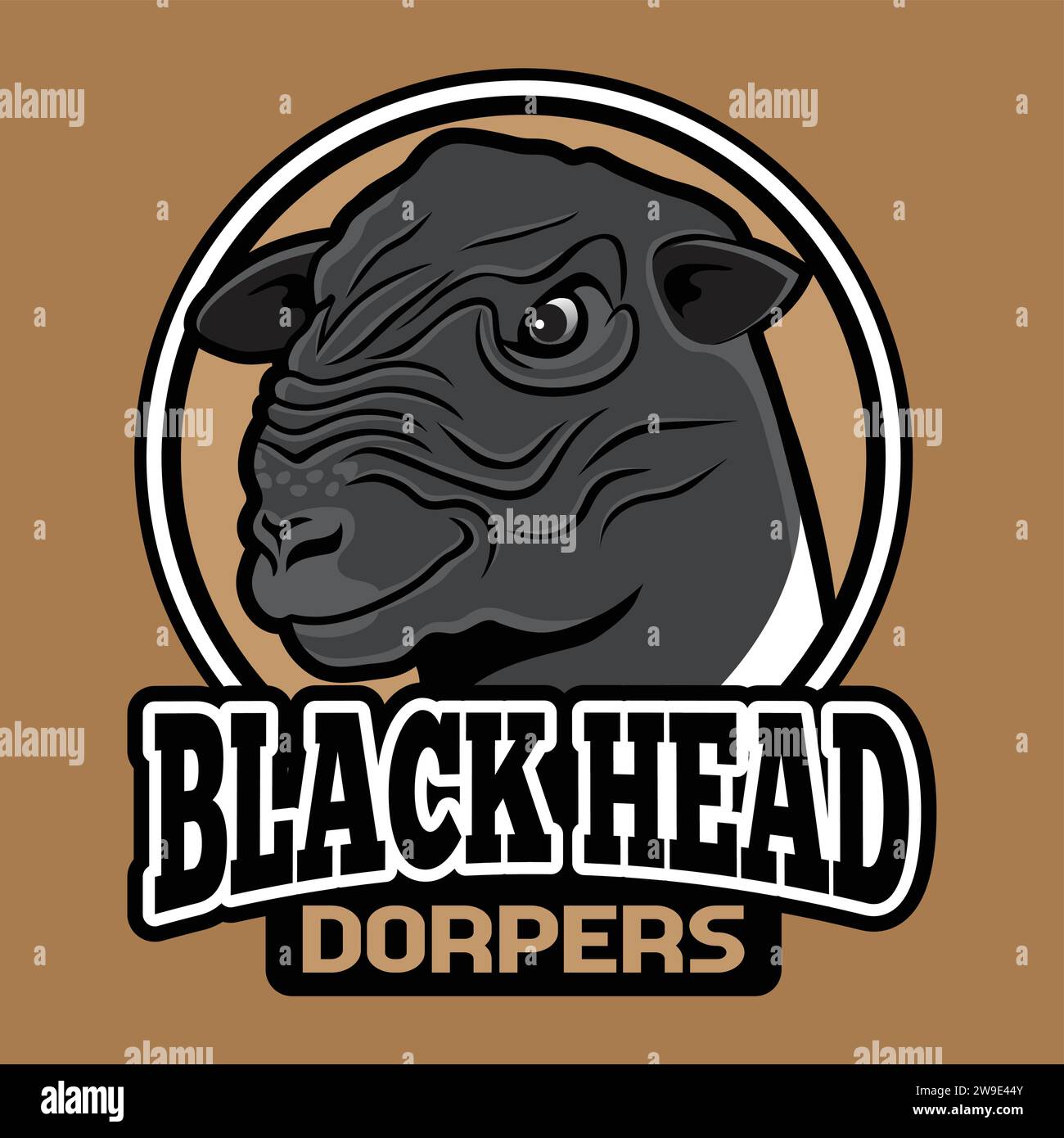 Dorper sheep images hi-res stock photography and images - Alamy