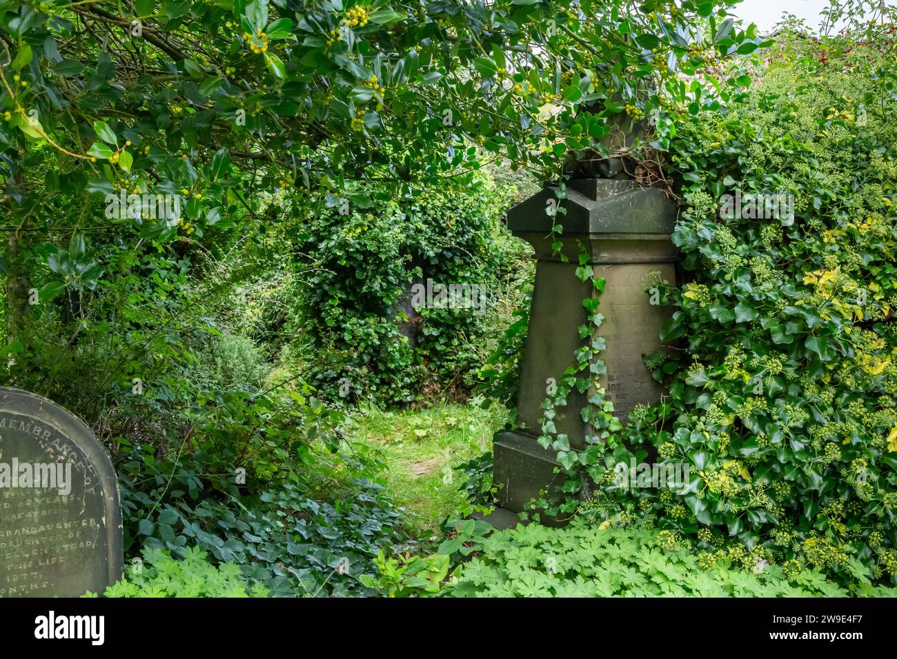 Graves choked by plants hi-res stock photography and images - Alamy