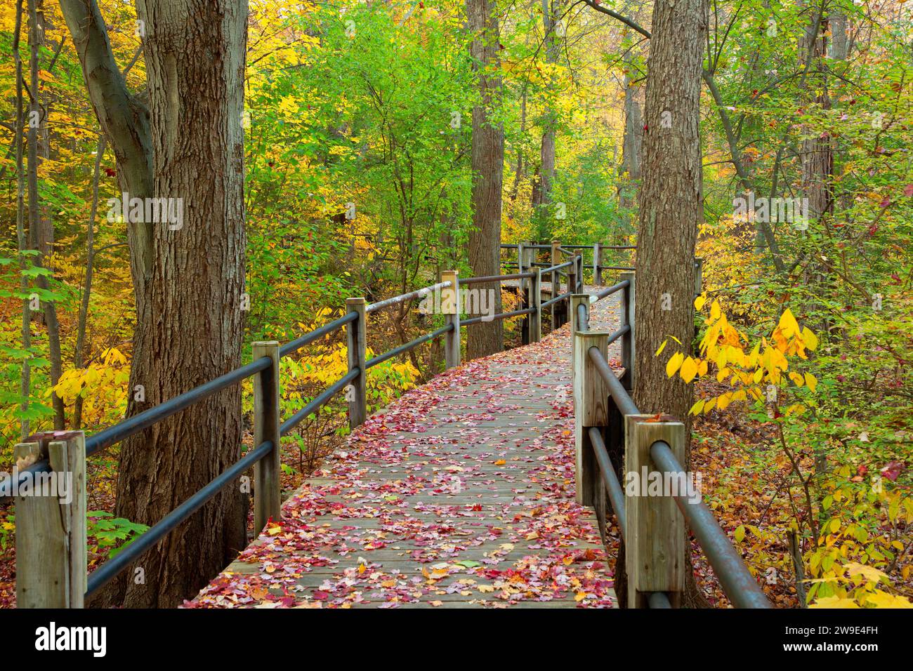 Boardwalk railing hi-res stock photography and images - Alamy