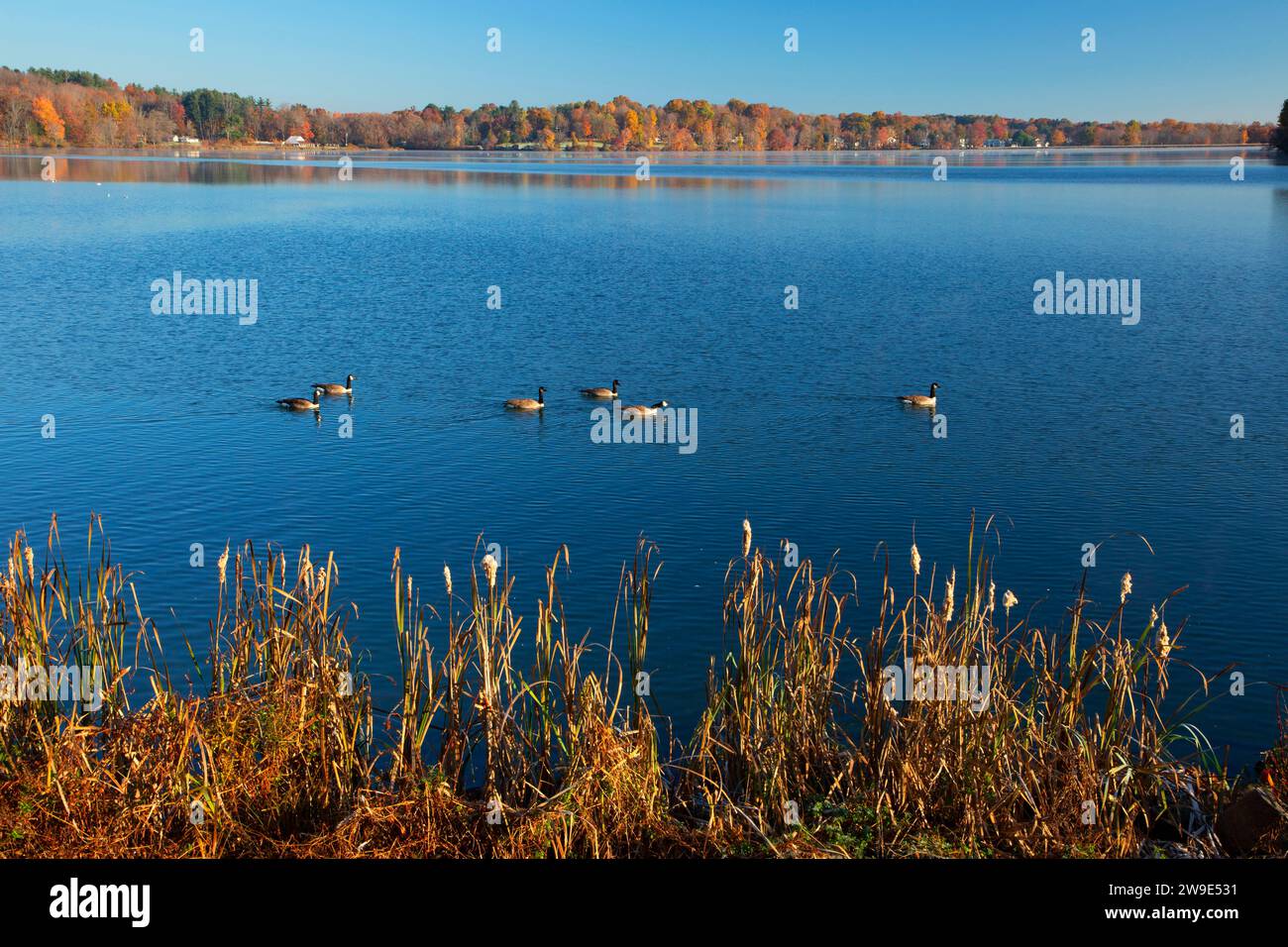 Batterson Park Pond, Batterson Park Pond State Boat Launch, New Britain ...