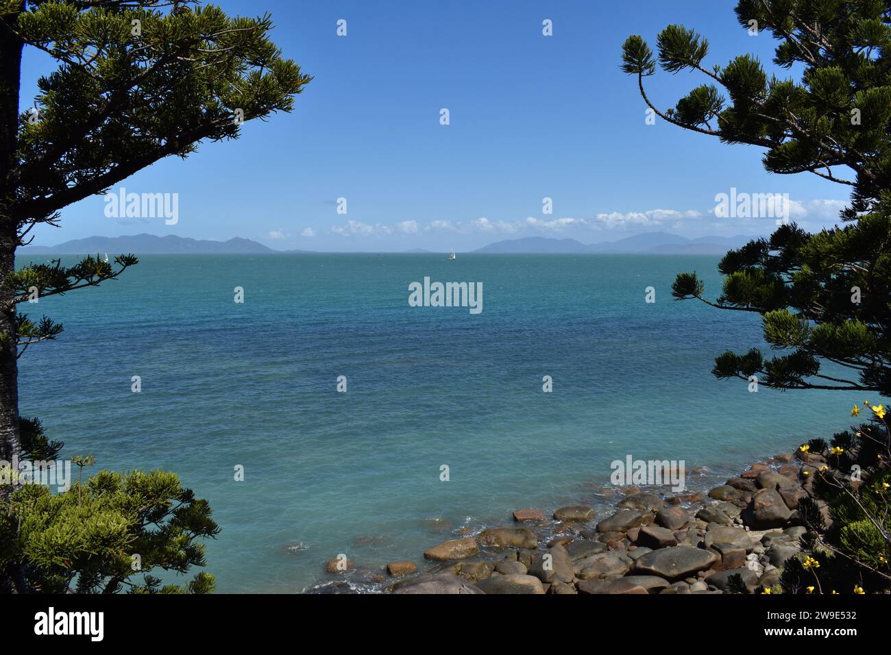 Hoop pines frame yacht sailing off the coast of Magnetic Island looking ...