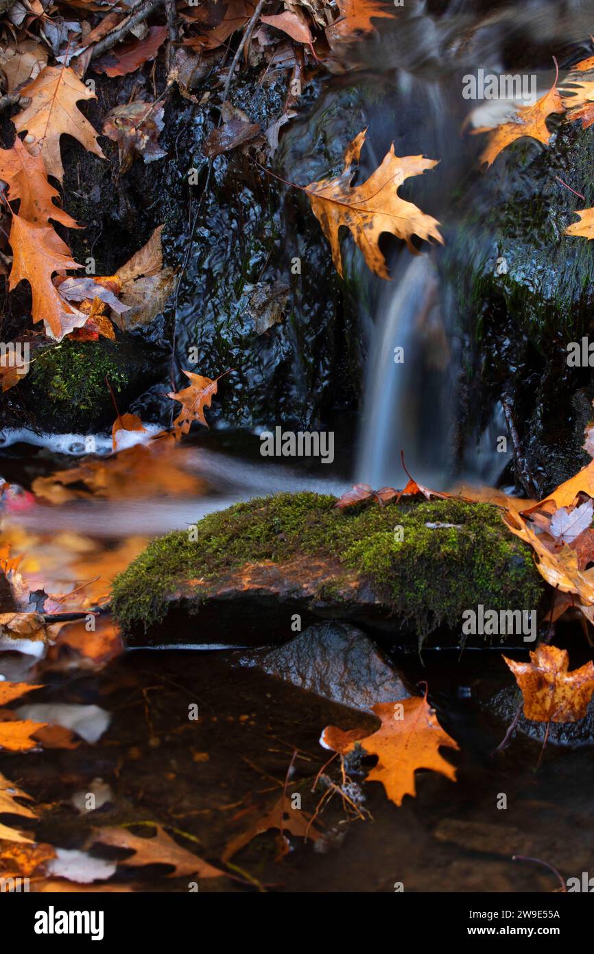 Brook cascade, Taine Mountain Preserve, Burlington, Connecticut Stock ...