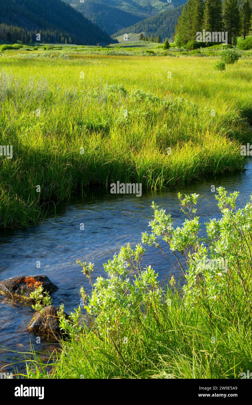 Gallatin River, Yellowstone National Park, Wyoming Stock Photo - Alamy