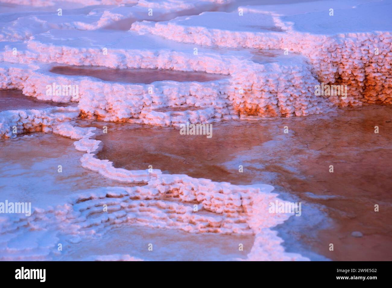 Hot springs formations at Palette Spring at Mammoth Hot Springs ...