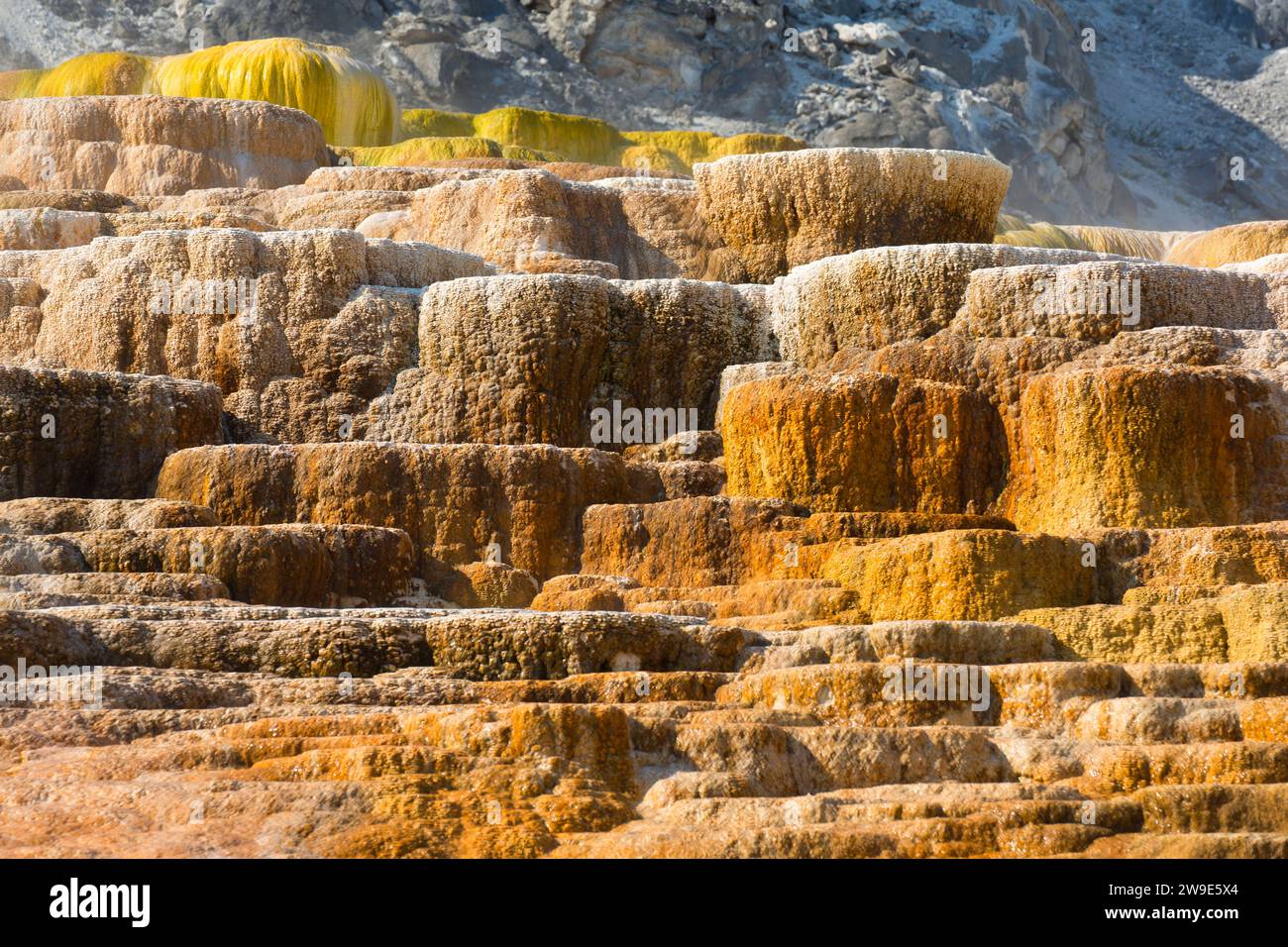 Mound terrace mammoth springs yellowstone hi-res stock photography and ...