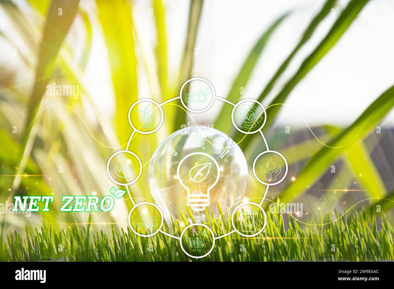 The concept of net zero carbon and carbon neutrality for the goal of ...