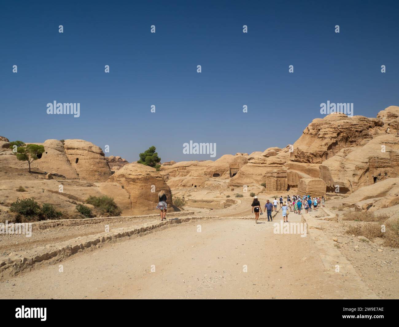 Petra historic and archaeological city carved from sandstone stone ...