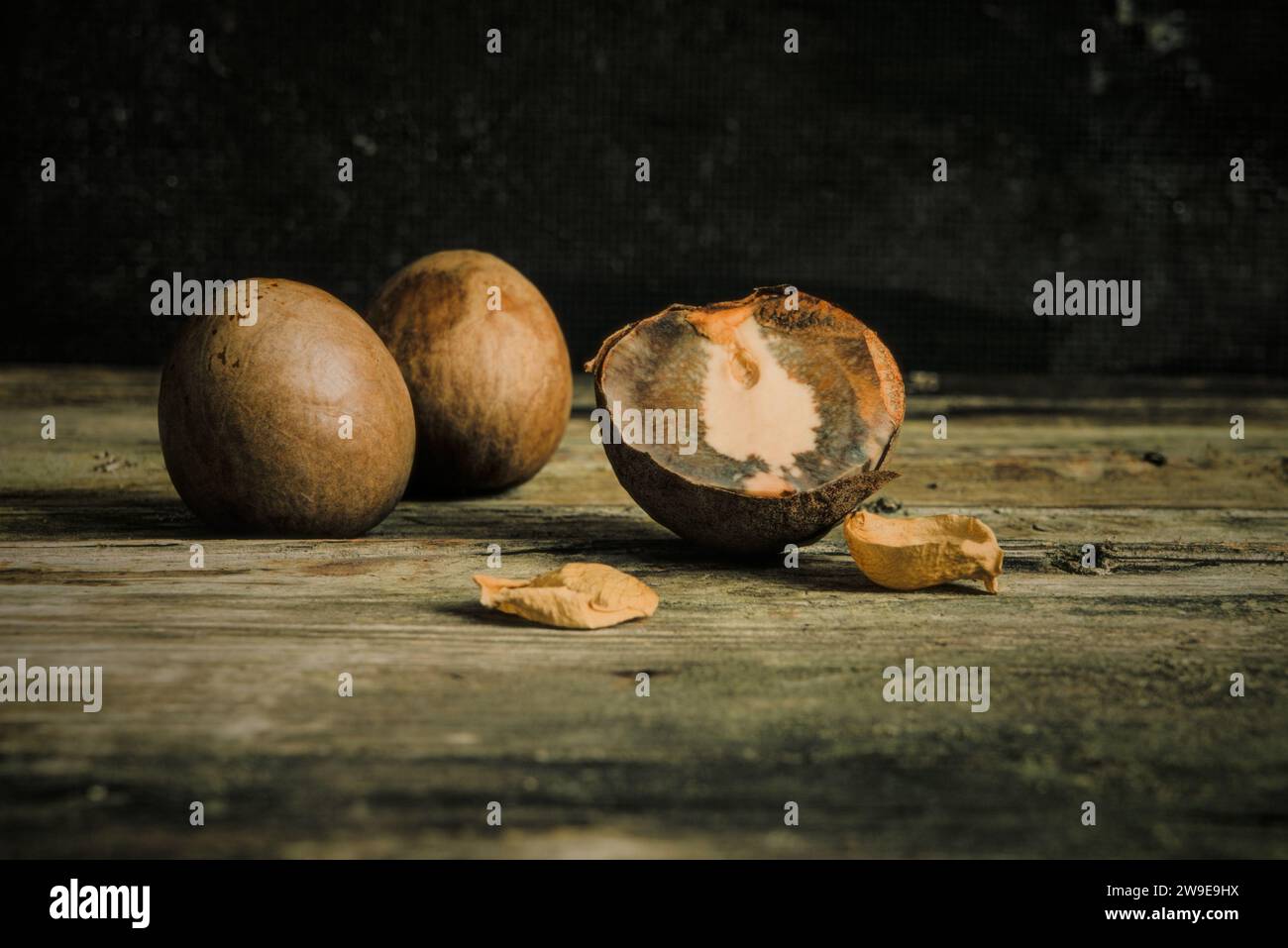 still life with avocado seeds, small roses and other gift of mother ...