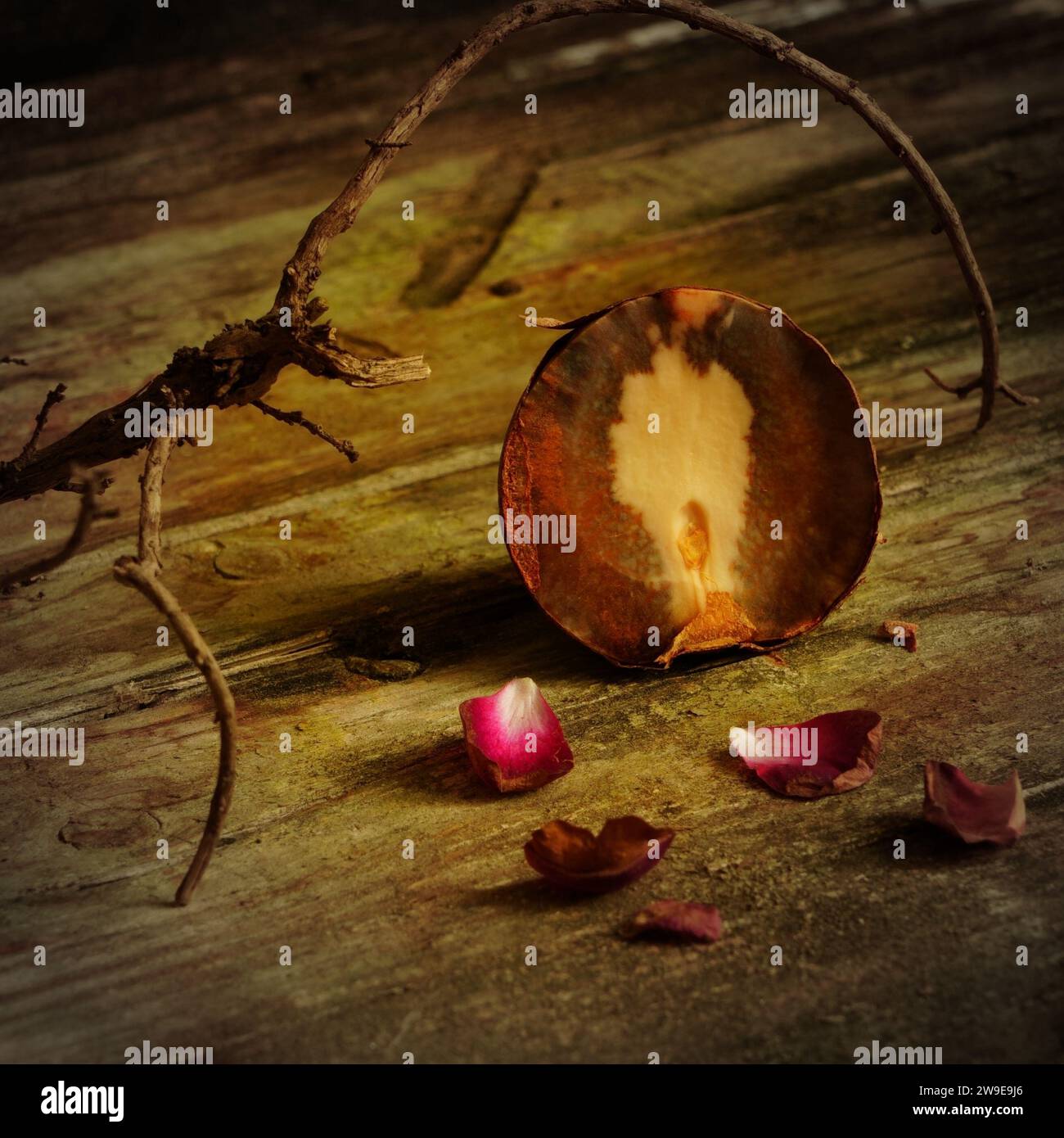 still life with avocado seeds, small roses and other gift of mother ...