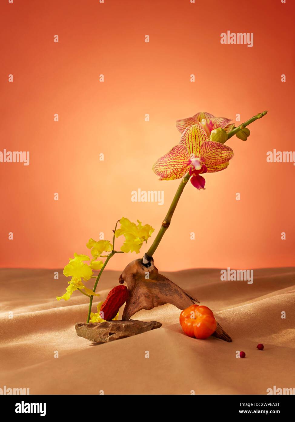 Product presentation backdrops, background for product shots, product ...