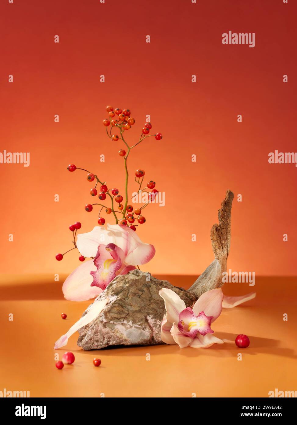 Product presentation backdrops, background for product shots, product ...