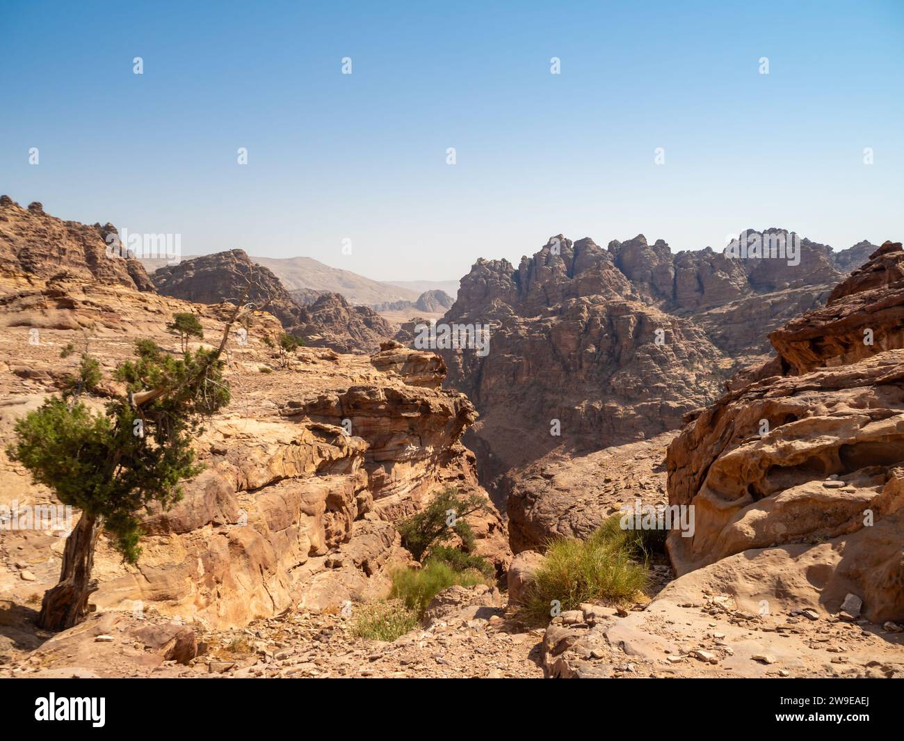 Petra historic and archaeological city carved from sandstone stone ...