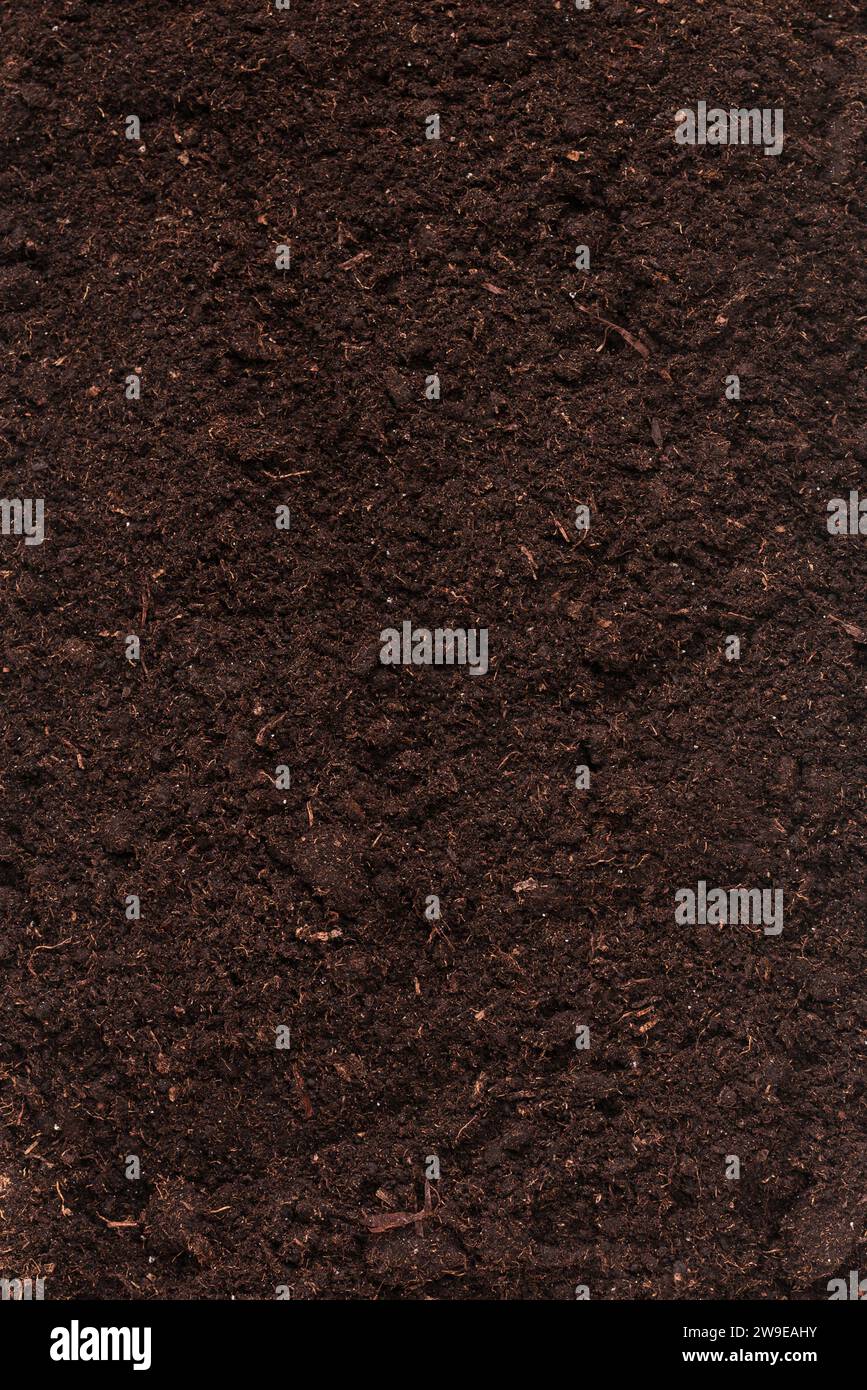 Soil for plant isolated on white background. Soil pattern Stock Photo ...