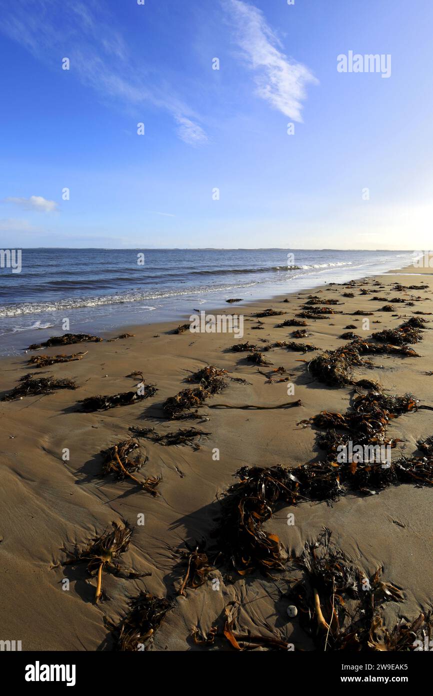 The big sandy beach at Dornoch village, East coast of Sutherland ...