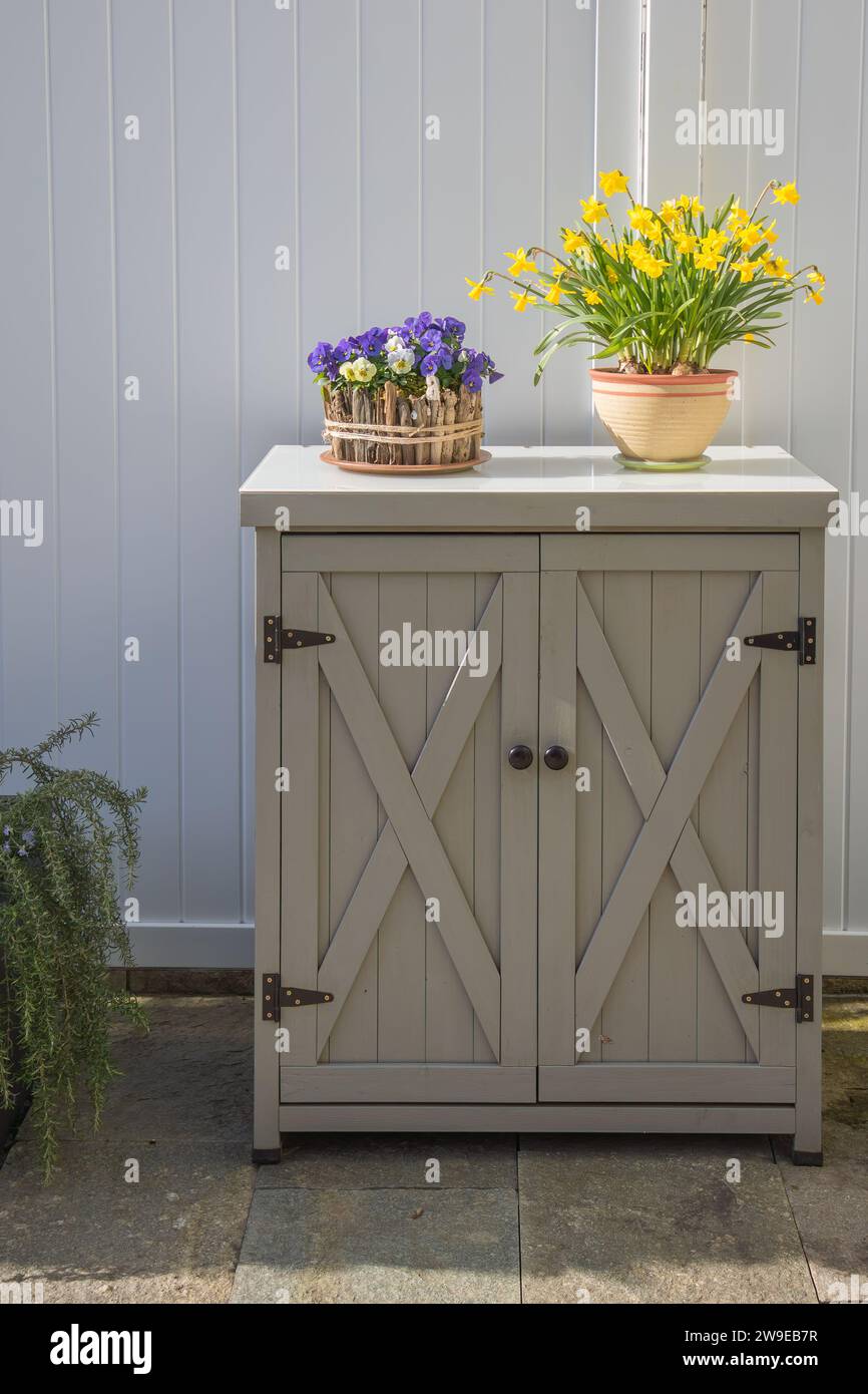 Arrangement of daffodils (narcissus) and homet violets (viola comuta ...