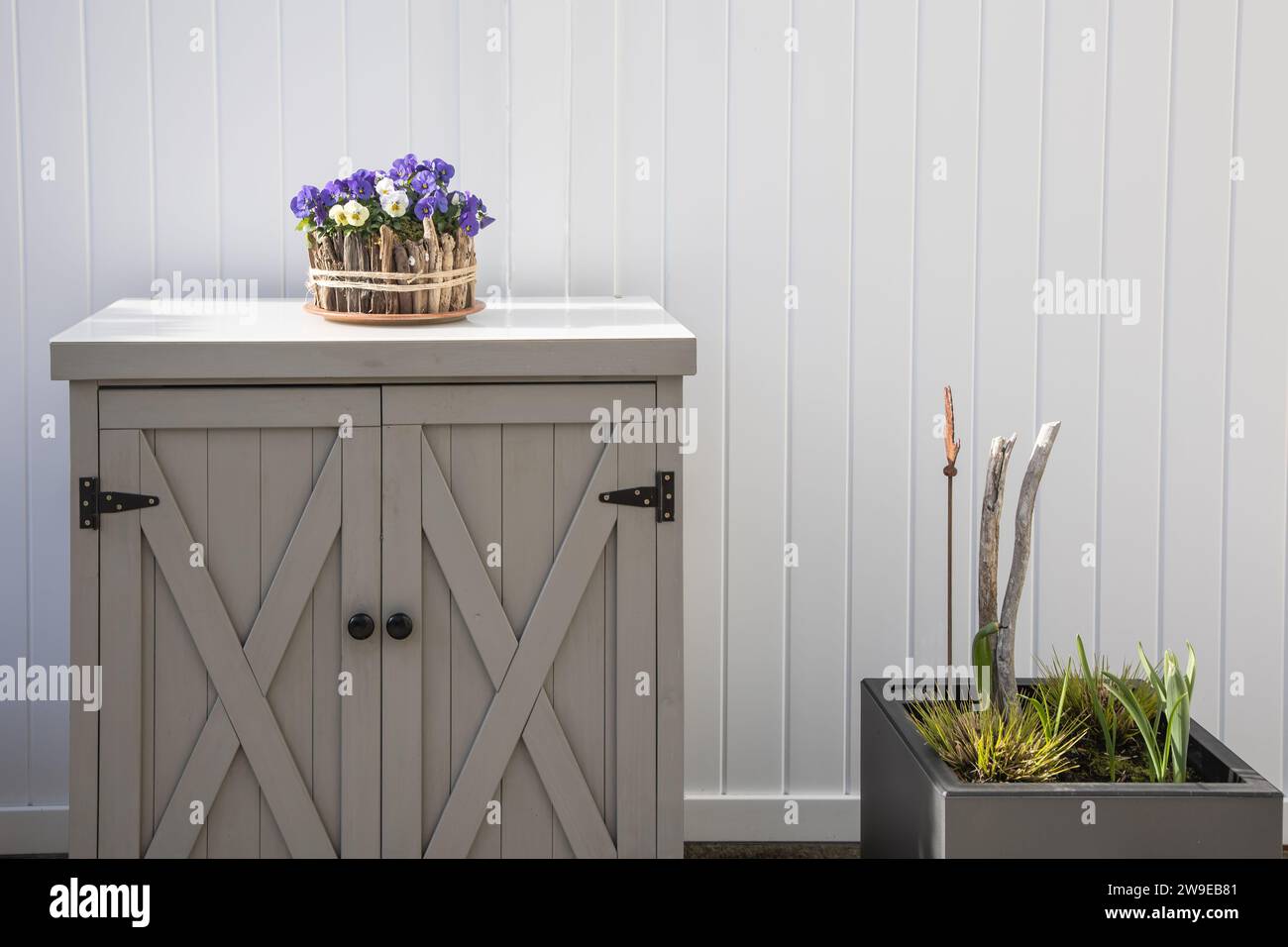 Arrangement of homet violets (viola comuta) in a stylish flowerpot on a ...