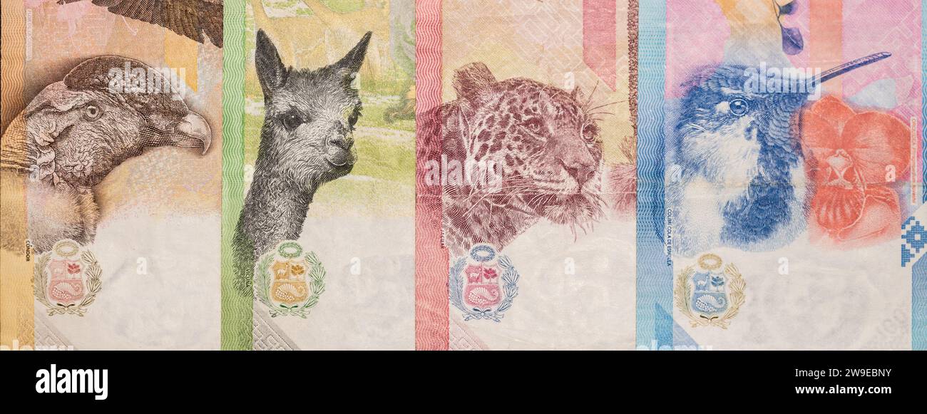 Peru money, Panorama of Peruvian sol banknotes, business background ...