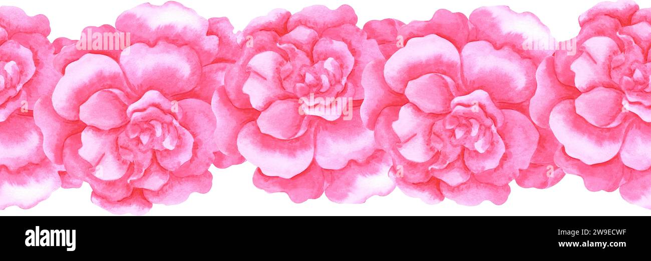 Hand drawn watercolor pink azalea seamless border isolated on white ...