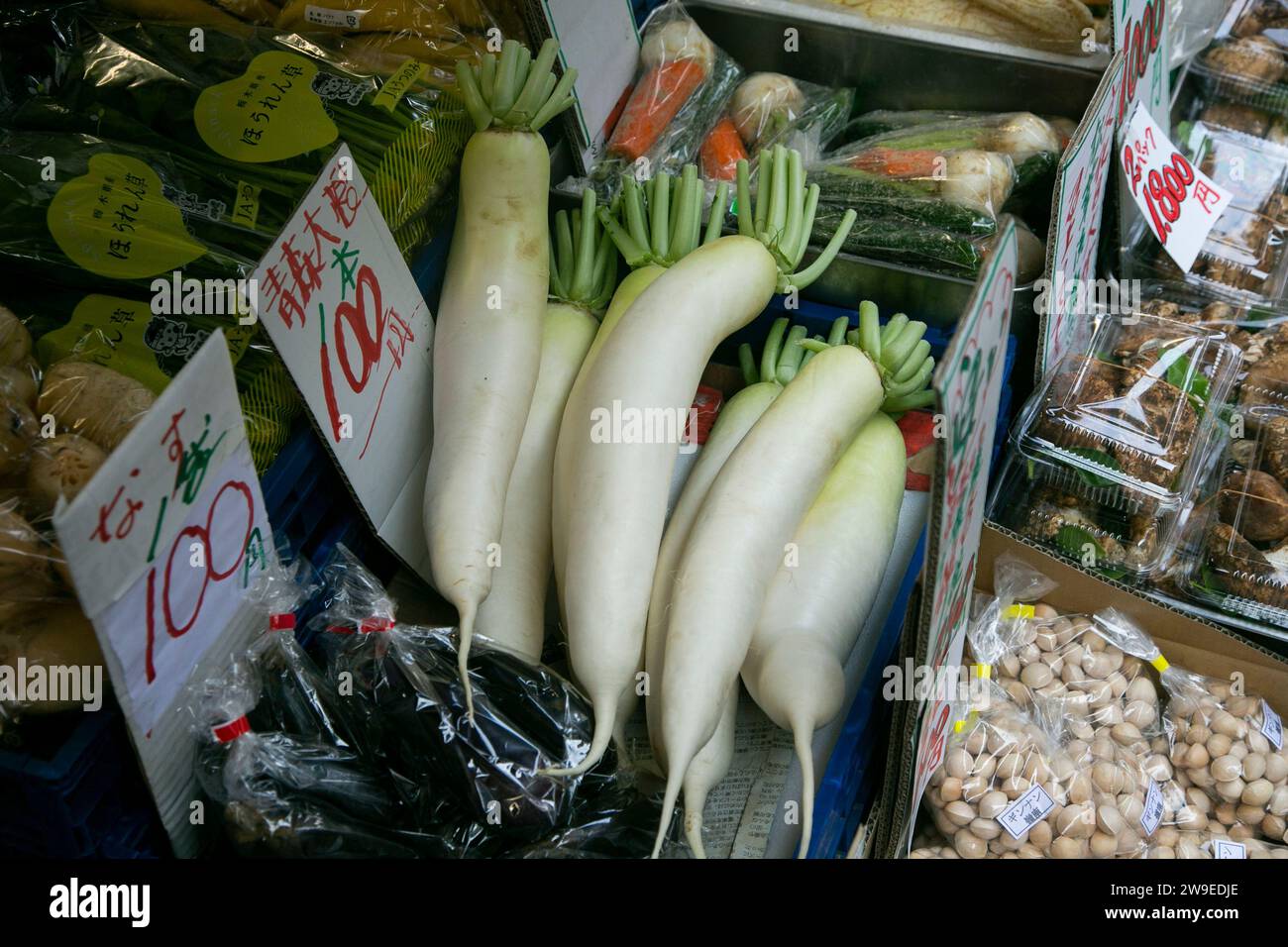 Japanese turnips at a Tokyo vegetable market Stock Photo - Alamy