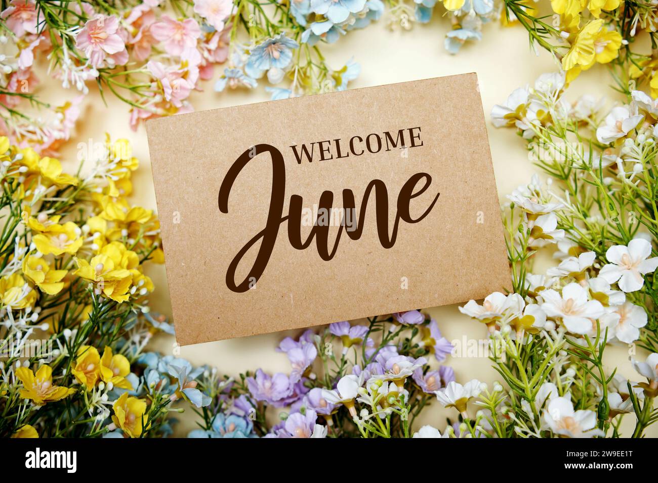 Welcome June text message with flower decoration on yellow background ...