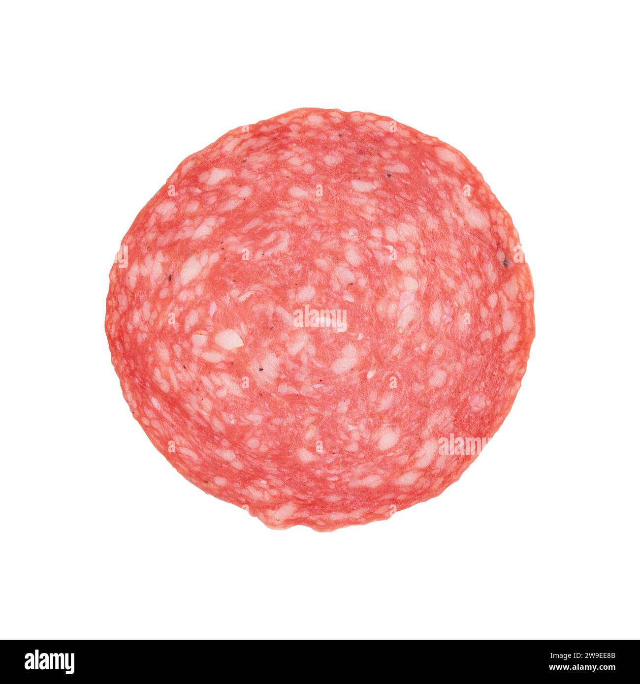 salami sausage slice isolated on white background, one piece of sliced salami sausage laid out ...