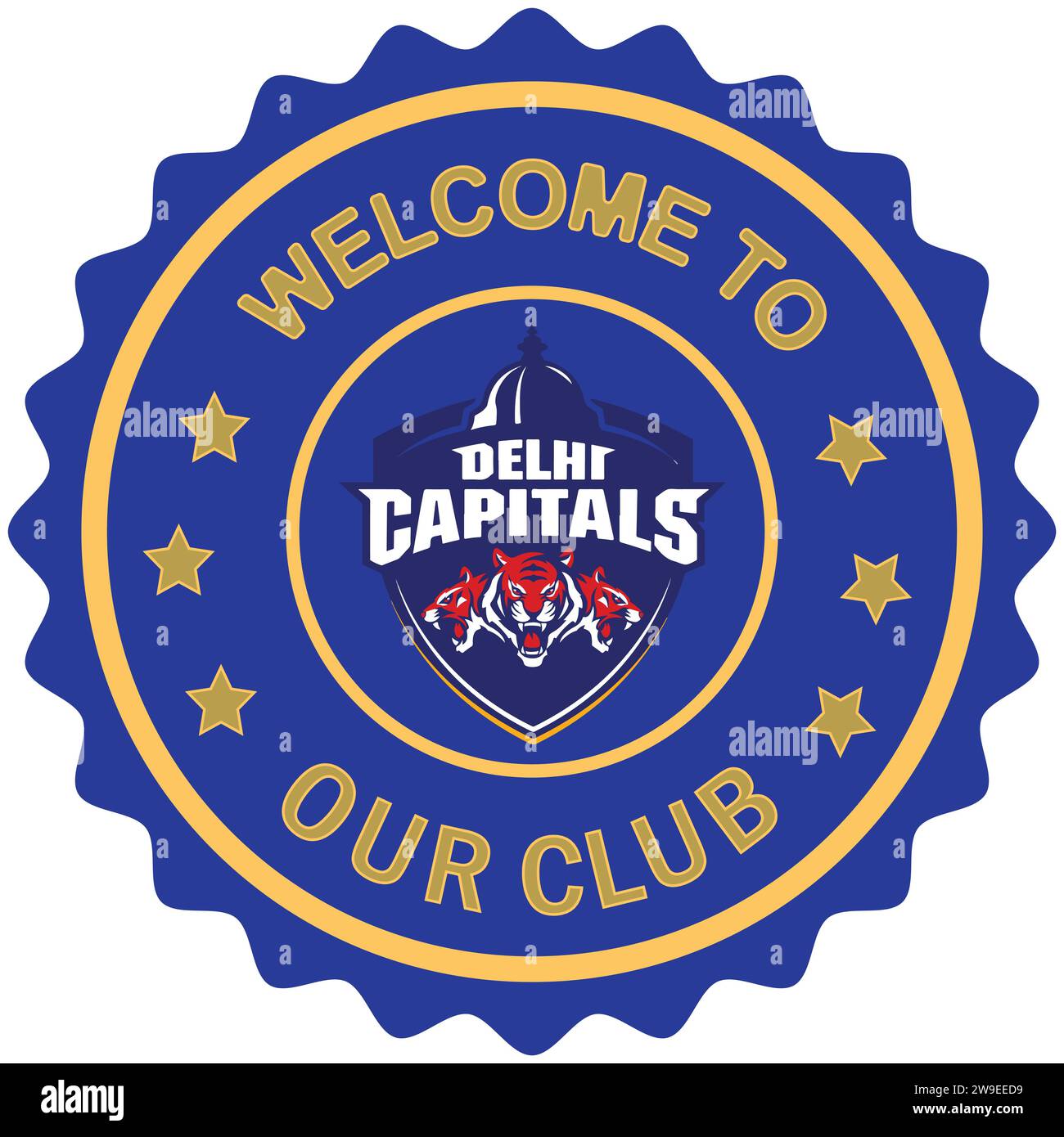 Indian Cricket Club Logo CRICKET LOGO DESIGN, Custom Professional