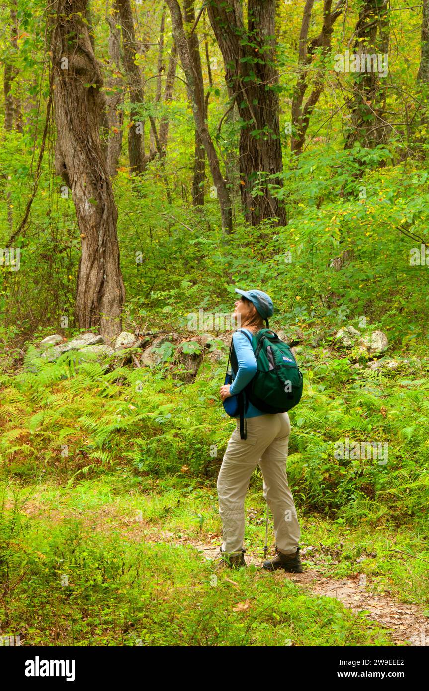 Barn island wildlife management area hi-res stock photography and ...
