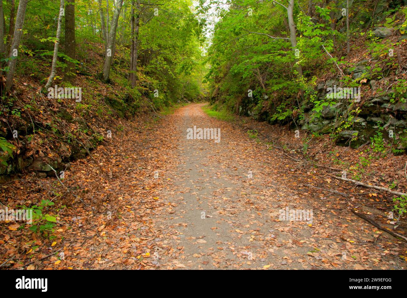 Air Line Trail, Air Line State Park Trail, Connecticut Stock Photo - Alamy