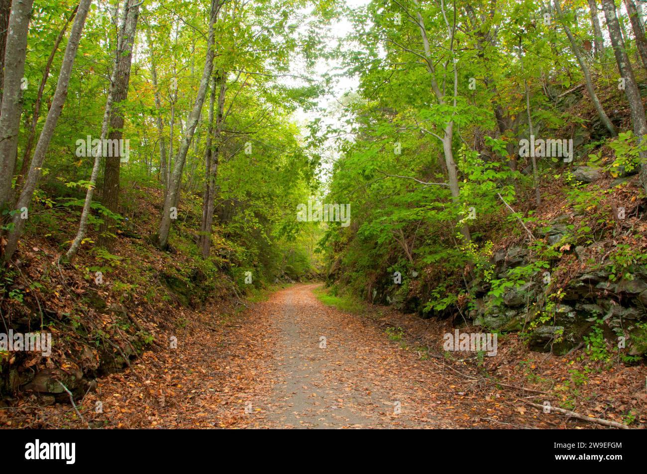 Air Line Trail, Air Line State Park Trail, Connecticut Stock Photo - Alamy