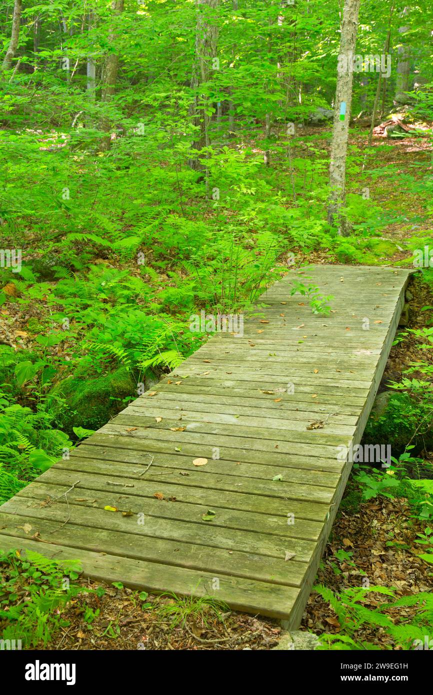 Uncas pond connector hi-res stock photography and images - Alamy