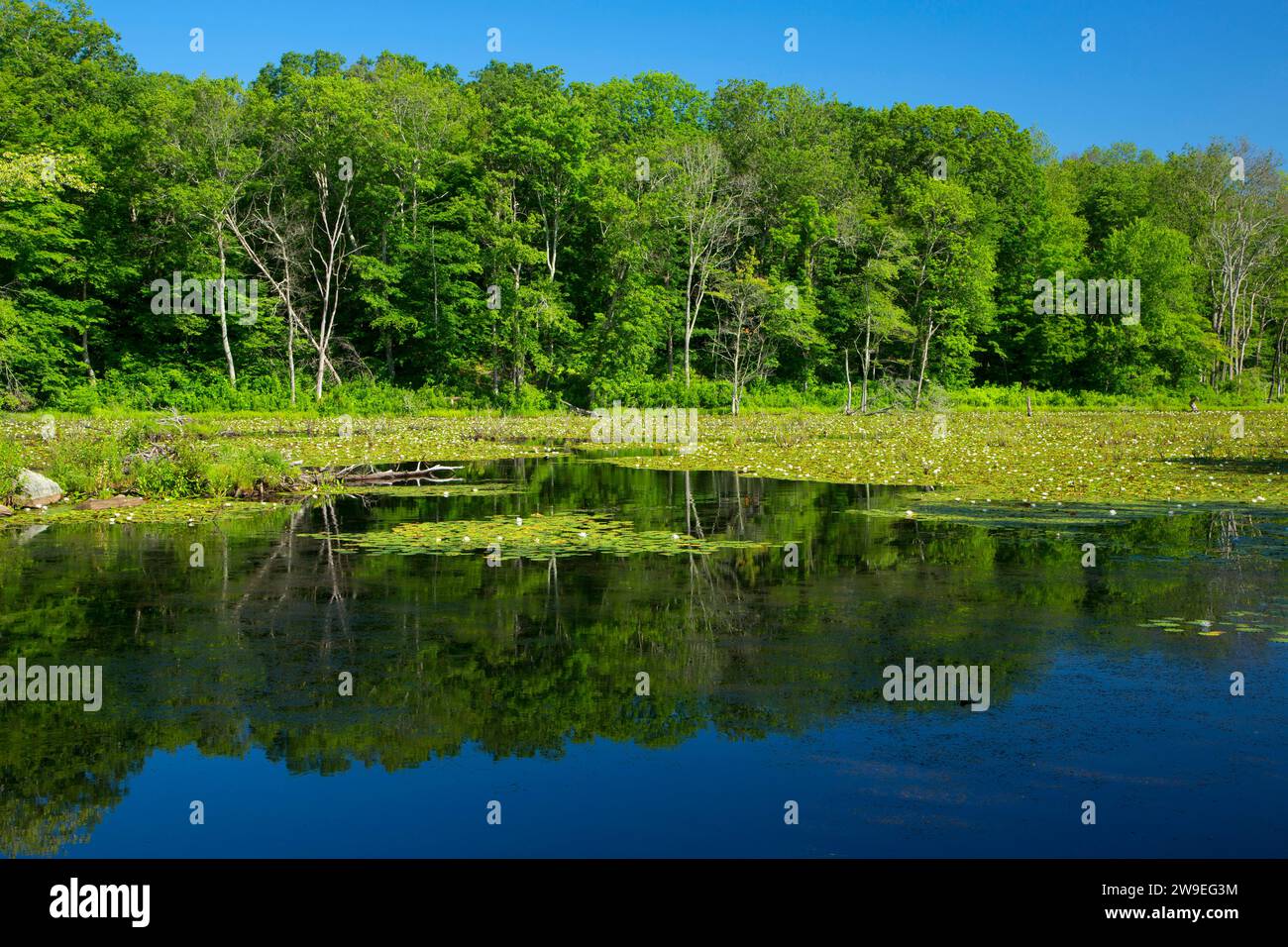 Hartman park hi-res stock photography and images - Alamy