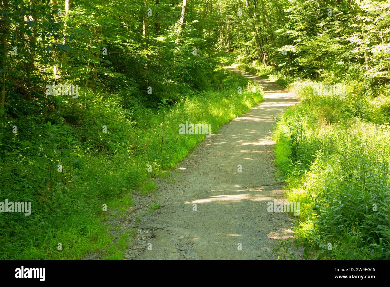 Trail, Air Line State Park Trail, Connecticut Stock Photo - Alamy