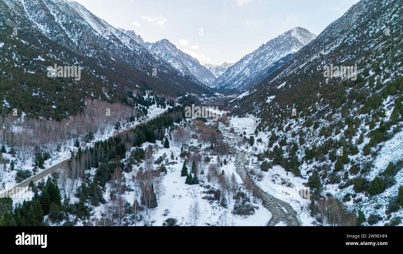 Aerial view of snow capped mountains and fir trees in the Ala-Archa ...